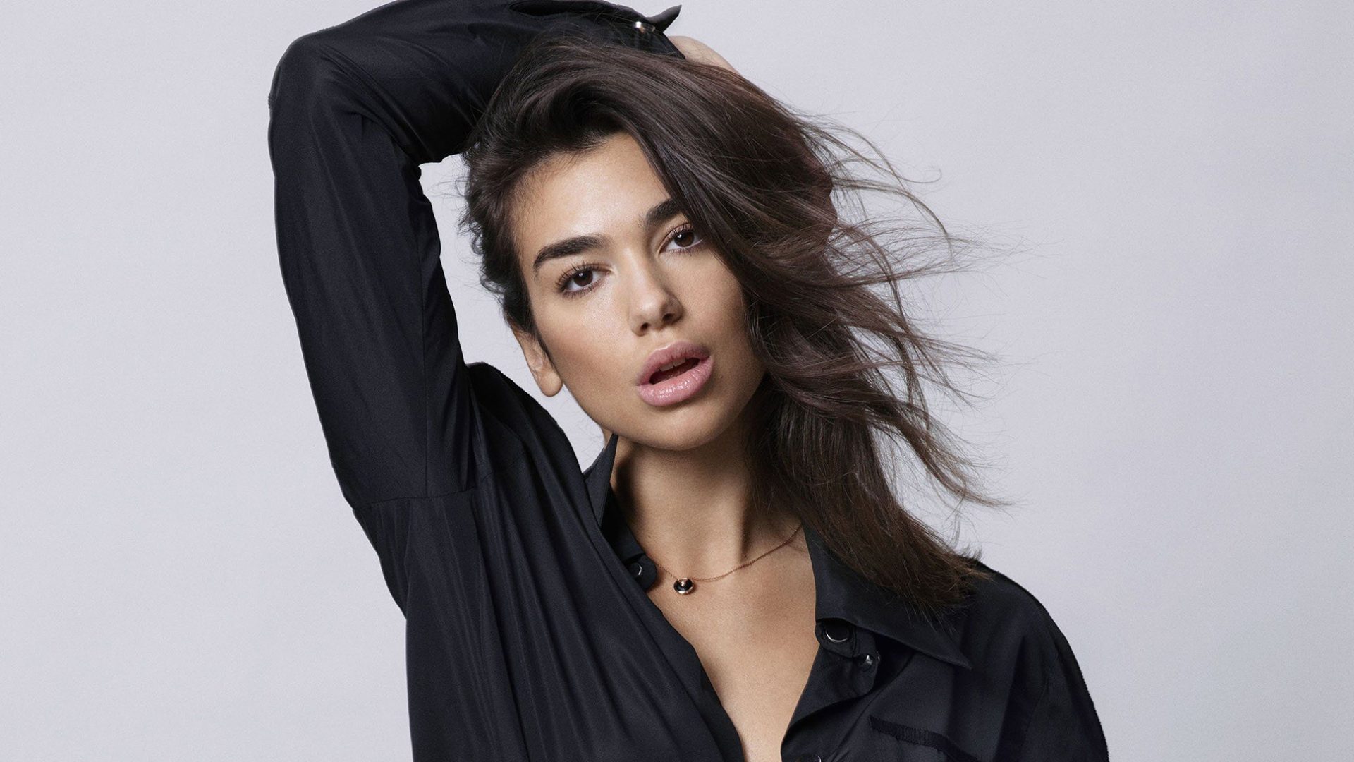 Dua Lipa | Agenda, biografia, notícias e lançamentos - PurePop